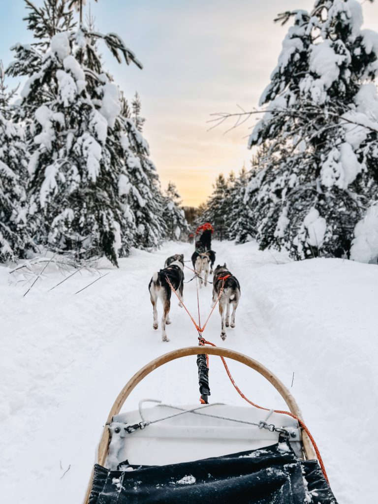 The Ultimate Guide to Winter in Finland - Discover the best of Finland