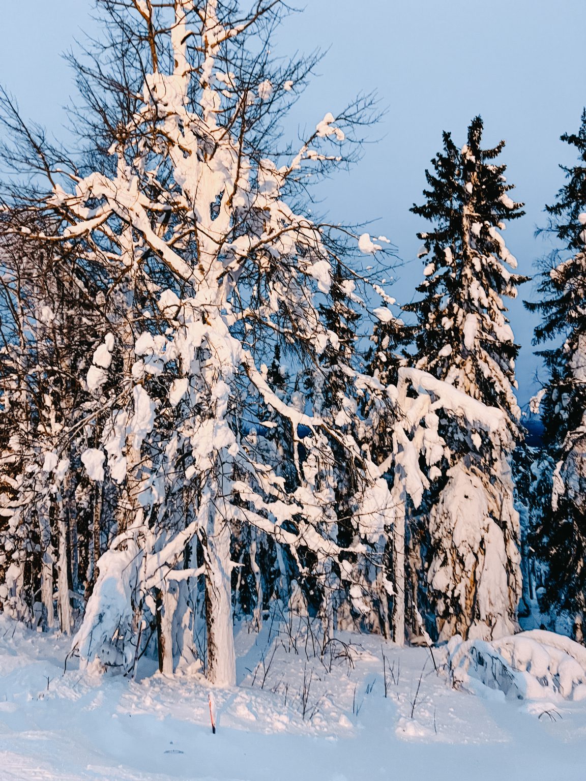 Finnish Winter adventures in the Arctic Lakeland: Vuokatti - KATHRIN DETER