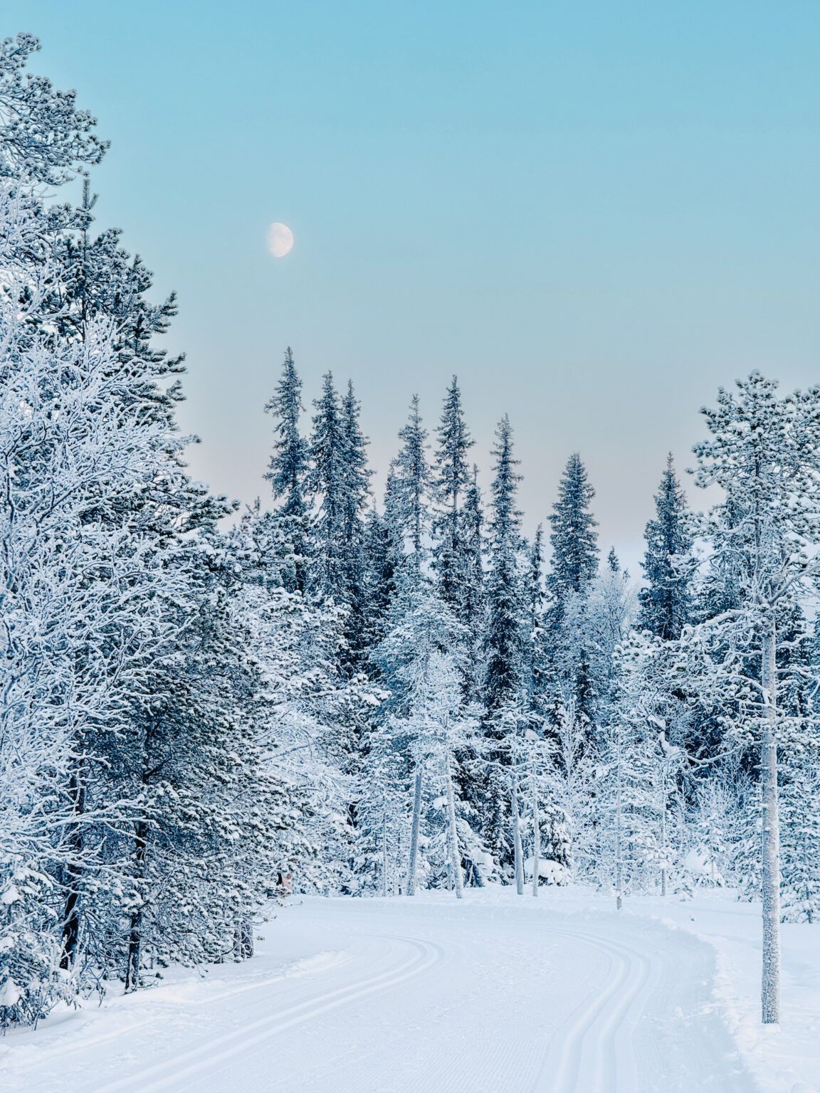 Muonio: The Hidden gem of Finnish Lapland - Discover the best of Finland